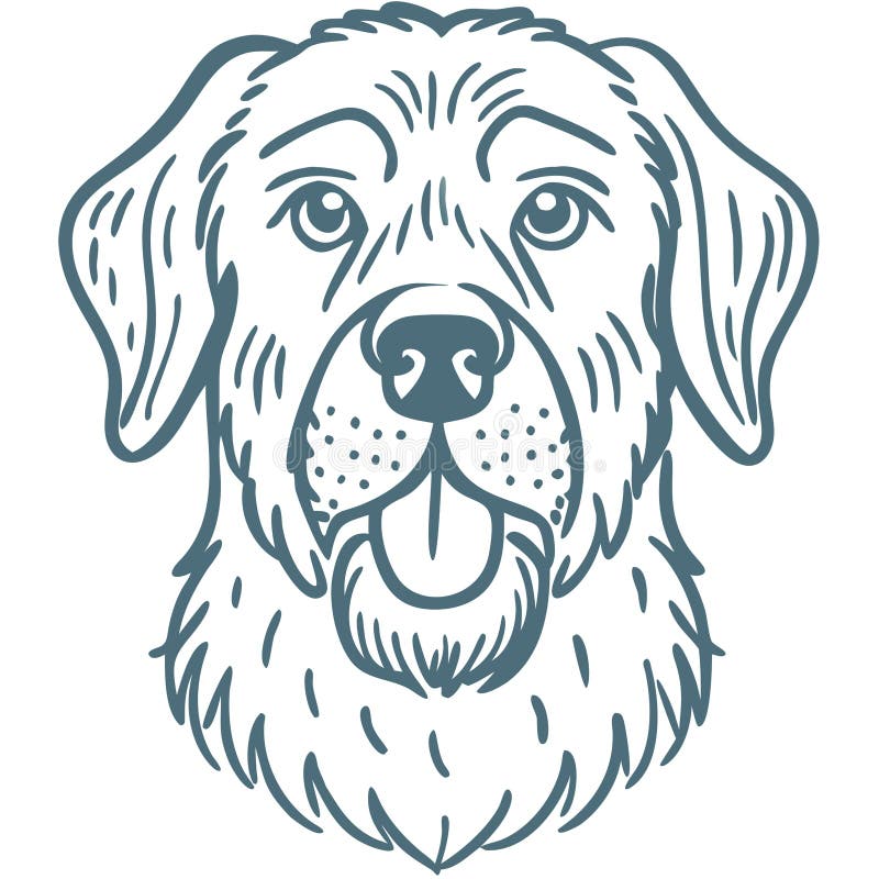 Detailed Labrador Retriever Face Vector Illustration for Design and ...