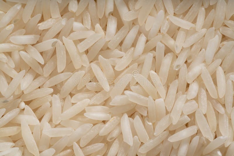 Close Up Shot of Basmati Rice Grain Stock Image - Image of organic ...