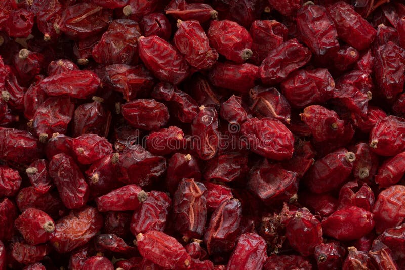 Macro barberries at spring stock photo. Image of spring - 15455186