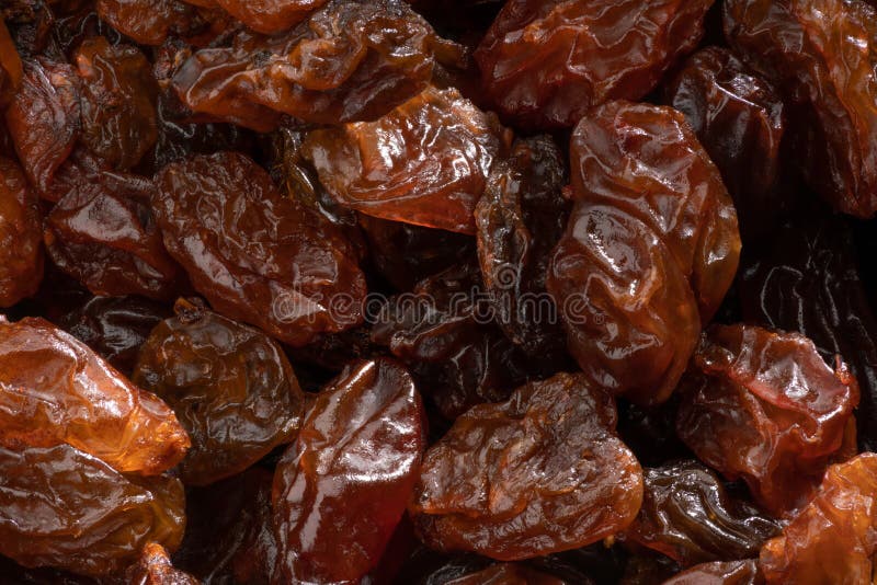 Dried Sultanas on Black Plastic Drying Sheet. Stock Image - Image of ...