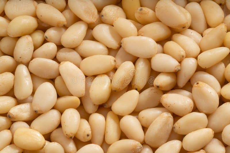 Close up shot of pine nut stock image. Image of seed - 238594705