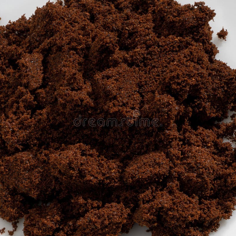 Close Up Shot of Powdered Vanilla Stock Photo - Image of kitchen ...
