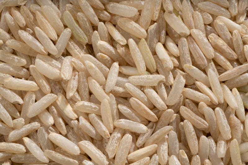 Large Close Up Shot of Rice Grain Stock Photo - Image of kernels ...