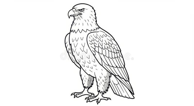 Majestic Bald Eagle Line Art: a Powerful Symbol of Freedom Stock ...