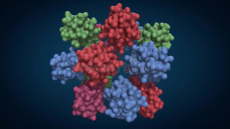 Exploring the Intricate Structure of Protein Clusters in Molecular ...