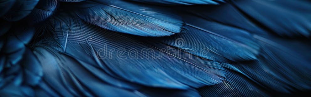 A Detailed Look at the Navy Blue Feathers of a Bird, Highlighting the ...