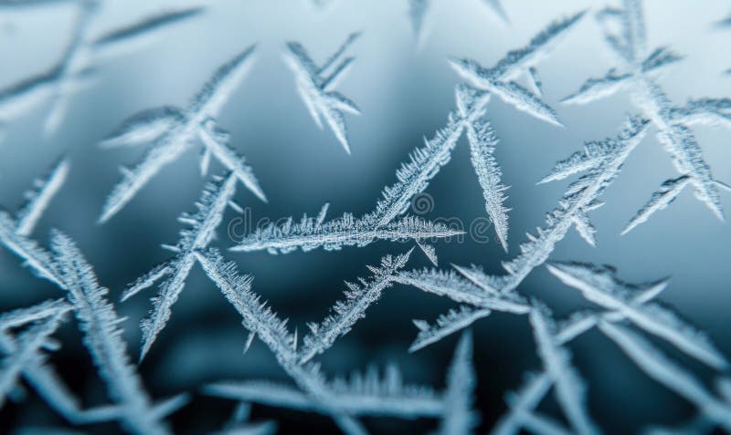 Detailed Macro Reveals a Mesmerizing Array of Frost Crystals Forming ...