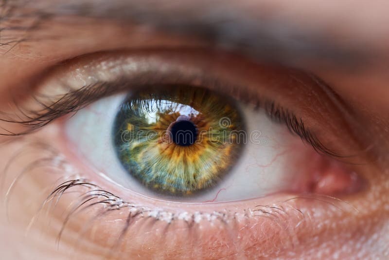 Macro of human eye stock image. Image of cornea, green - 260476499