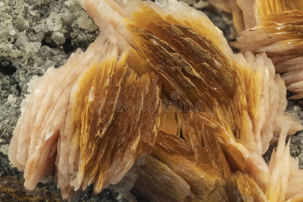 Detailed Macro View of Barite Crystal, Showcasing Its Unique Structure ...