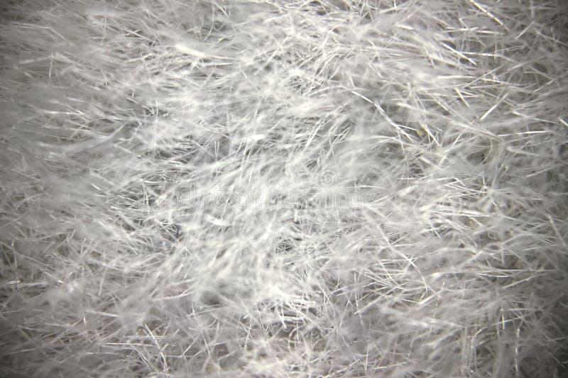 Detailed Microscopic View of Fabric Under a Microscope. Stock Image ...