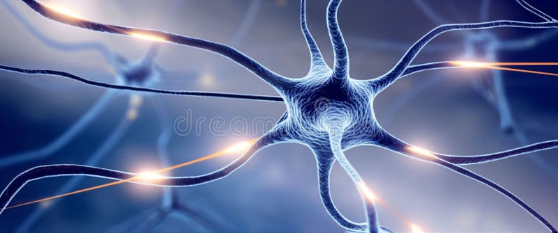 Detailed Neuron with Highlighted Synaptic Pathways Stock Illustration ...