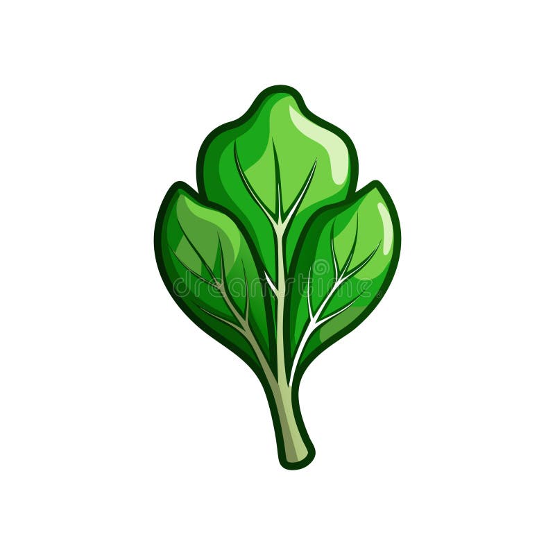 Detailed New Zealand Spinach Illustration Highlighting Unique Features ...