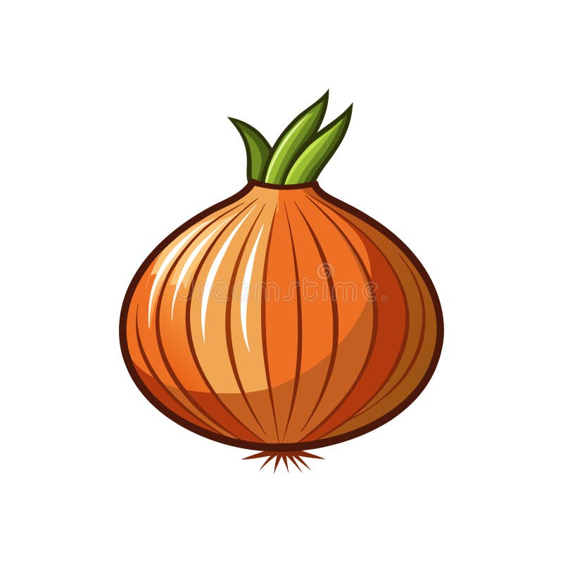 Detailed Onion Design for Culinary Uses Stock Illustration ...