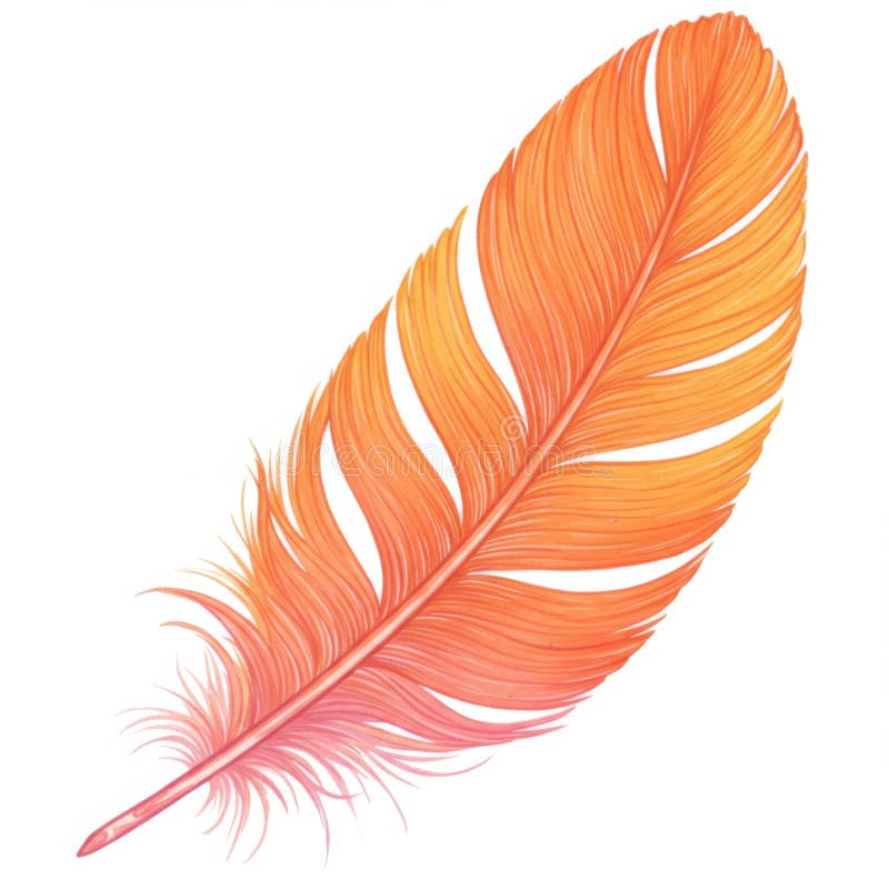 Detailed Orange Feather Isolated on White Background with Gradient ...