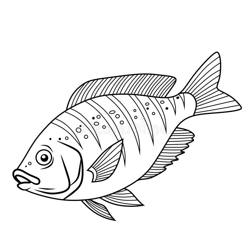 Elegant Line Art Tilapia Fish Stock Illustration - Illustration of ...