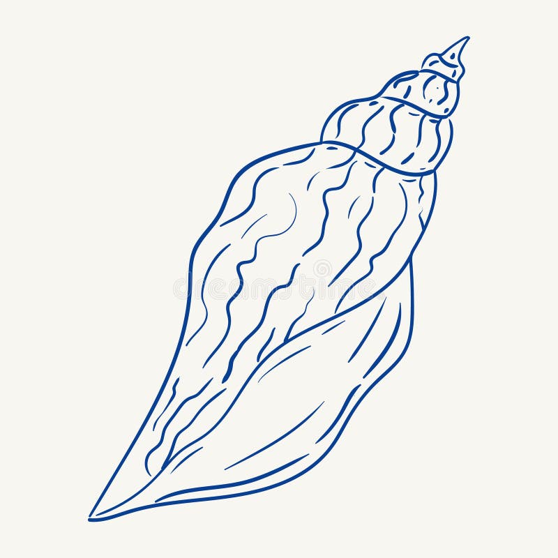 Detailed Outline of a Sea Shell Showcasing Intricate Patterns and ...