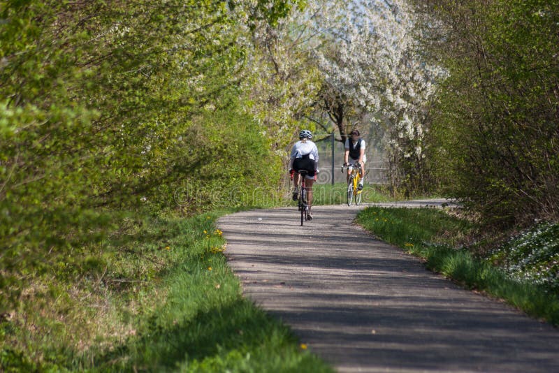 Biking in spring blossom editorial stock image. Image of lifestyle ...