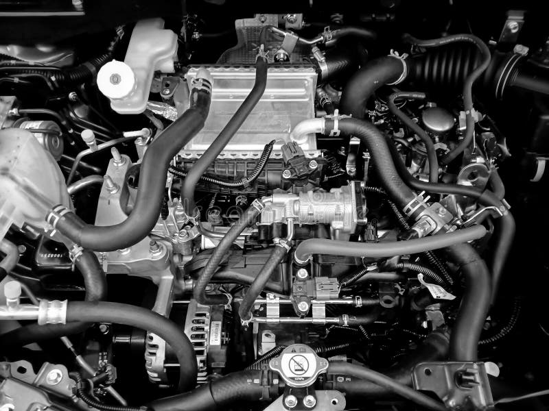 Fluid Compartment Diagram Stock Photos - Free & Royalty-Free Stock ...