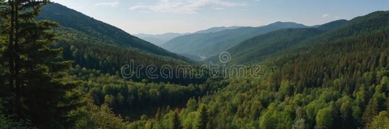 Detailed Panoramic View of a Forest Range Ai Generated Stock ...