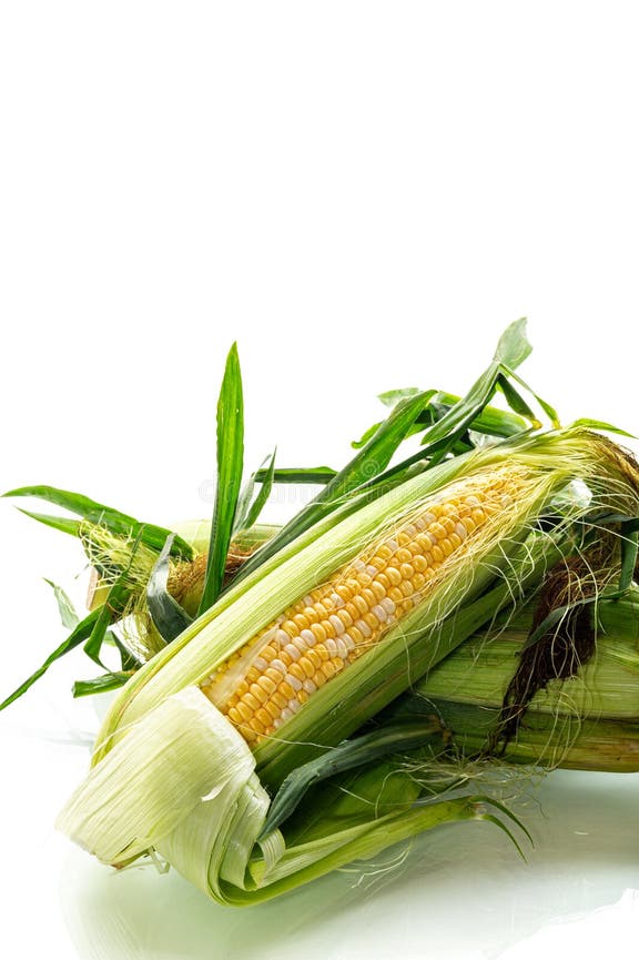 Detailed Plan of Corn with Bright Leaves and Husk Stock Photo - Image ...