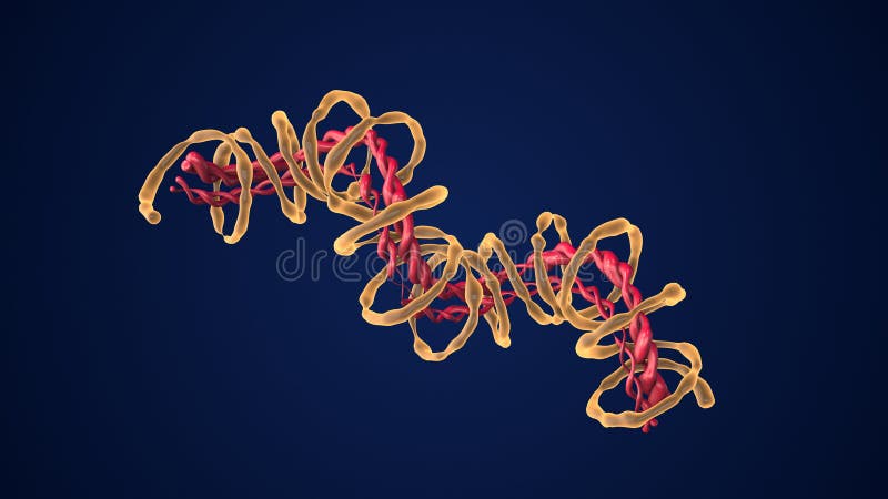 Medical Concept of the Protein Strand Stock Illustration - Illustration ...