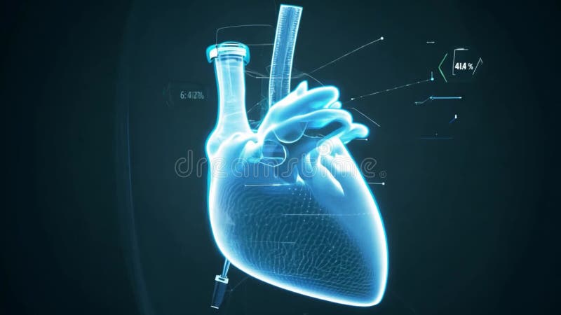 Detailed Render of a Human Heart Anatomy with Medical Data ...