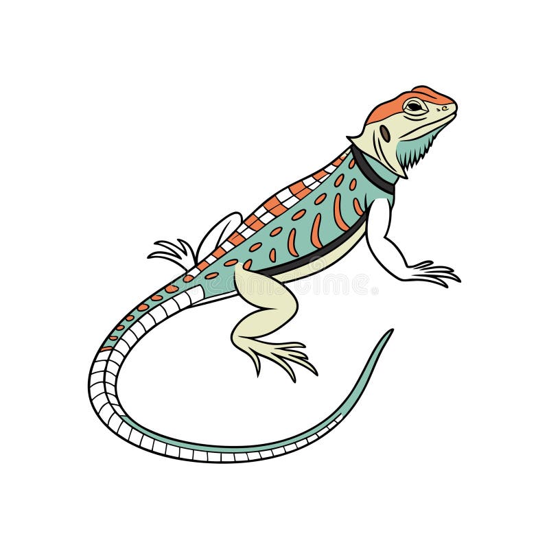 Detailed Representation of Collared Lizard in Color Stock Illustration ...