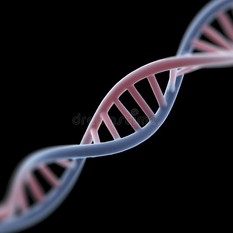 DNA Double Helix Structure with Intricate Details Showcasing Genetic ...