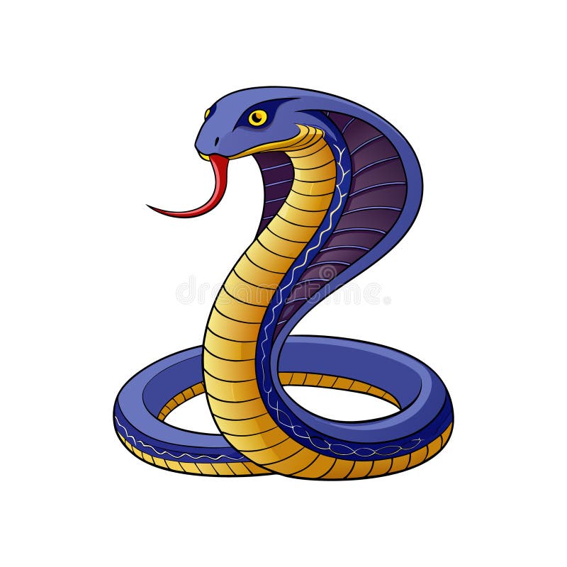 Detailed Representation of King Cobra in Color Stock Illustration ...