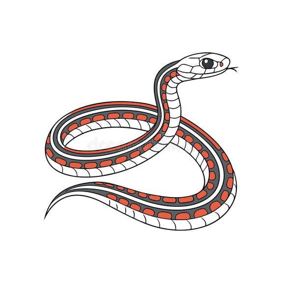 Detailed Representation of Lateral Line Snake in Color Stock ...