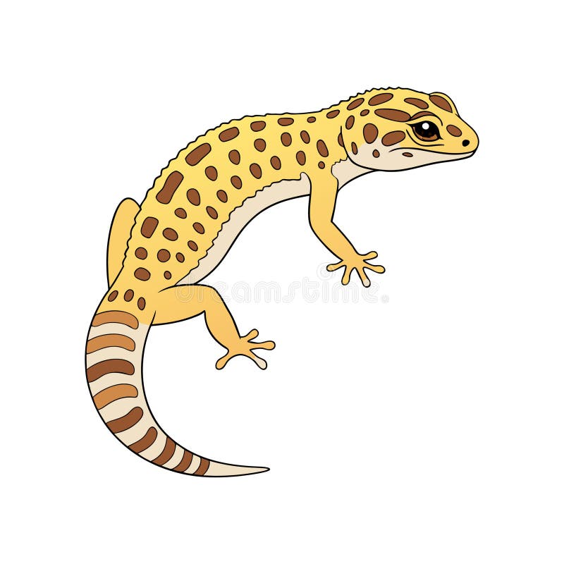 Detailed Representation of Leopard Gecko in Color Stock Illustration ...