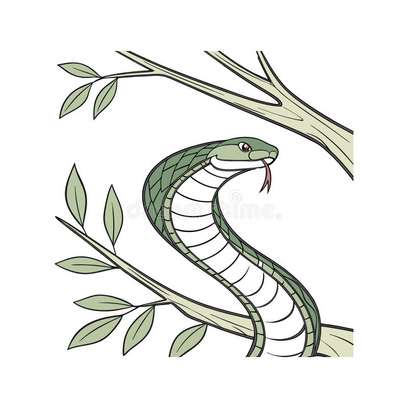 Detailed Representation of Paradise Tree Snake in Color Stock ...