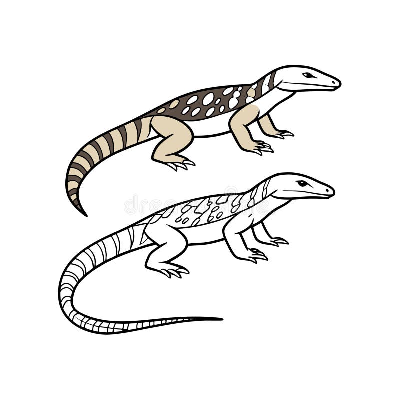 Detailed Representation of Perentie in Color Stock Photo - Illustration ...