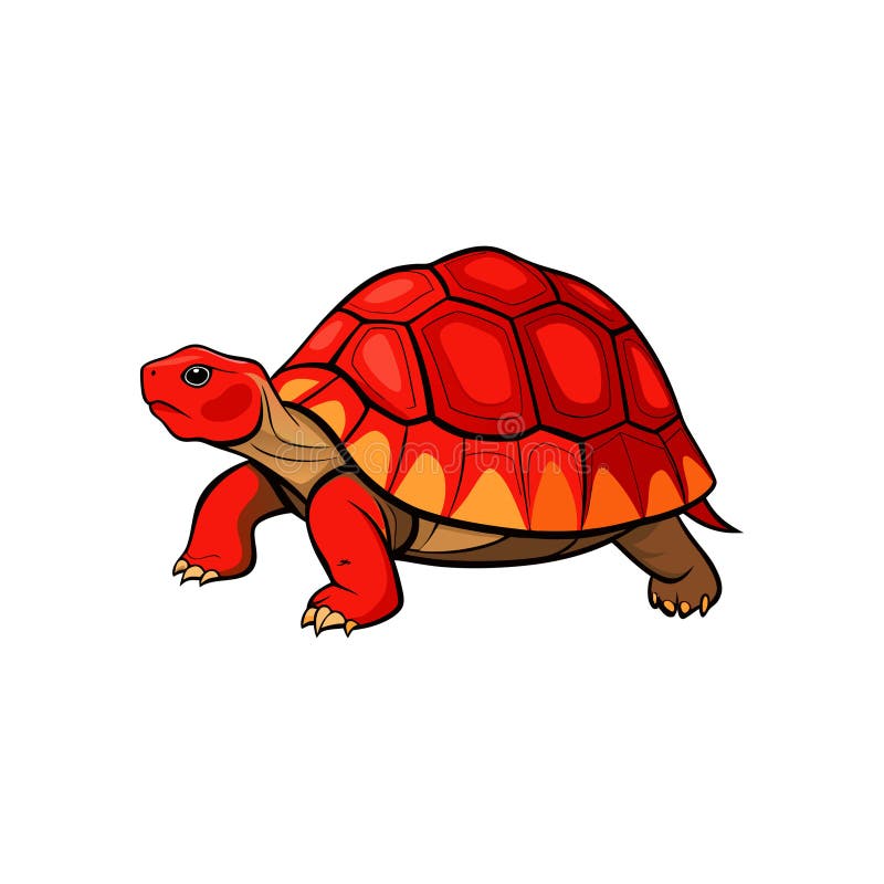 Detailed Representation of Red-Footed Tortoise in Color Stock Photo ...