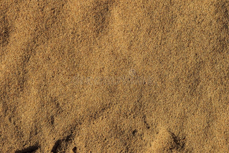 Detailed sand texture stock photo. Image of vacation - 81098352