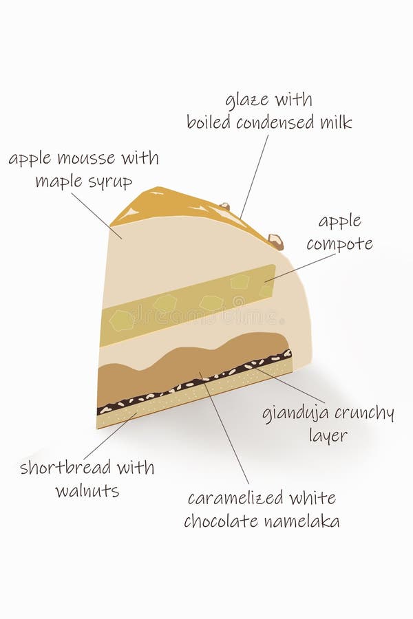 Detailed Schematic Diagram of Cake Stock Illustration - Illustration of ...