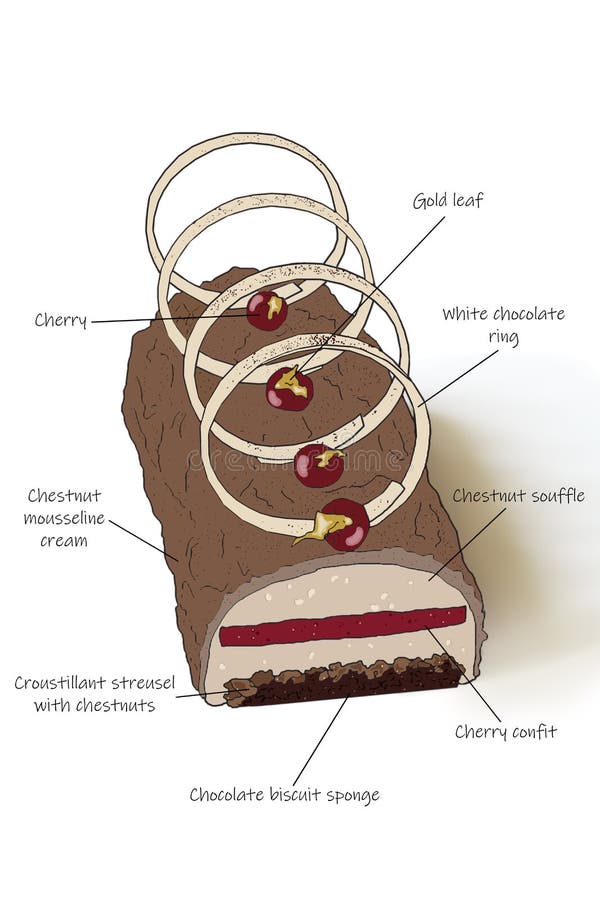 Detailed Schematic Diagram of Cake Stock Illustration - Illustration of ...