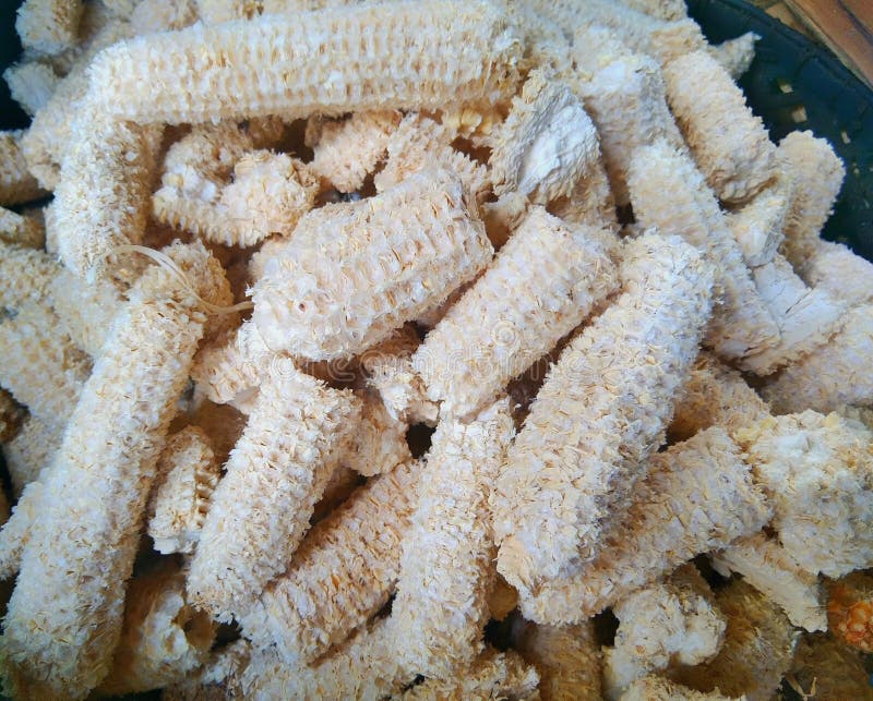 539 Corn Cob Empty Stock Photos - Free & Royalty-Free Stock Photos from ...