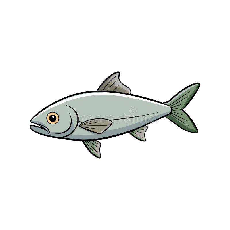 Detailed Silverside Fish Artwork in Natural Setting Stock Illustration ...