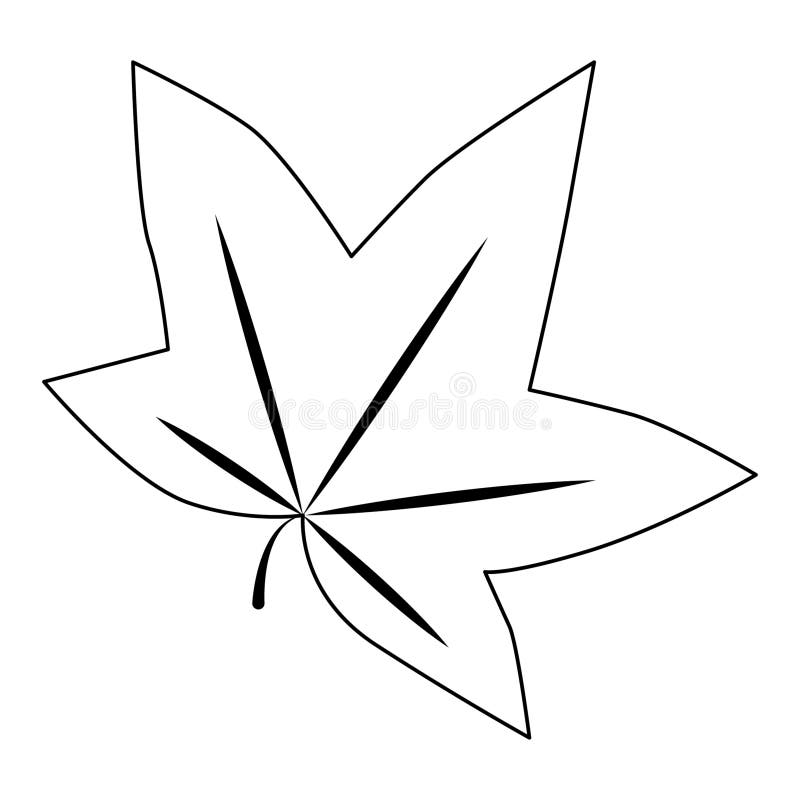 A Detailed Sketch of a Five-pointed Leaf Showcasing the Intricate Vein ...