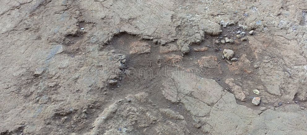 Detailed Soil Texture with Abstract Patterns Stock Image - Image of ...