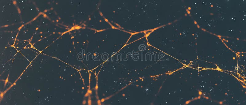 Monochrome Spider Web Texture Overlay with Classic Design on Black ...