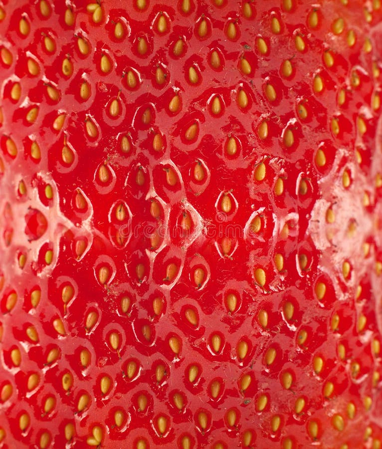 Detailed Surface of Strawberry Stock Image - Image of ripe, juicy ...