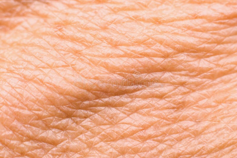 Detailed Texture of the Aging Dry Human Skin Stock Photo - Image of ...