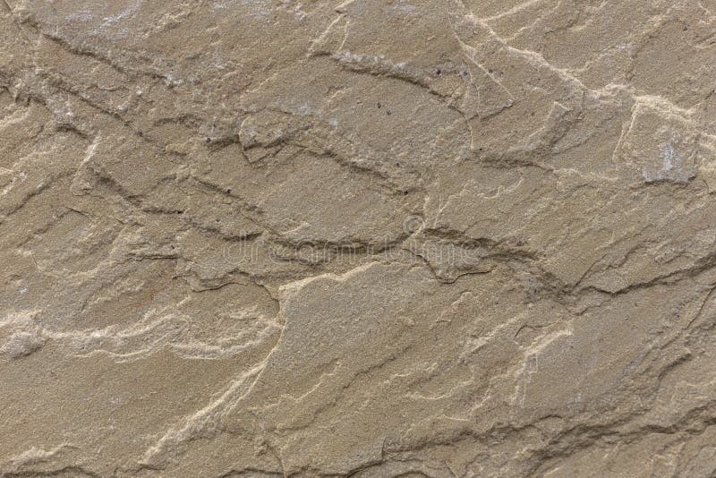 Detailed Texture of Texture and Background with High Resolution. Stock ...