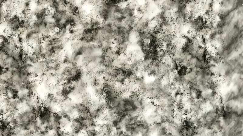 Detailed Texture of a Light, Weathered Concrete or Plaster Surface. the ...