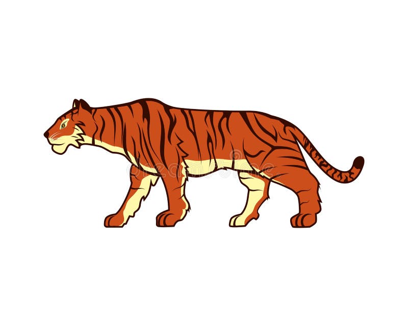 Detailed Tiger with Standing Gesture Illustration Stock Vector ...