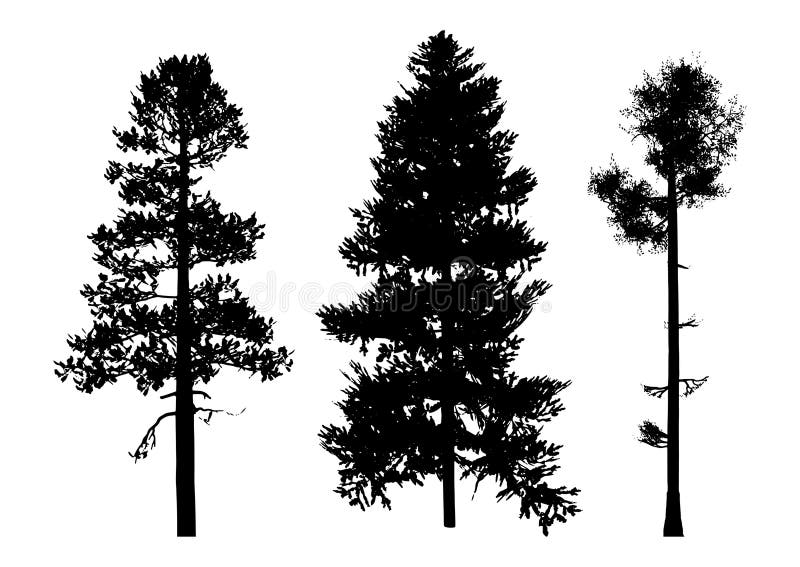 Detailed Tree Silhouettes Collection Stock Vector - Illustration of ...