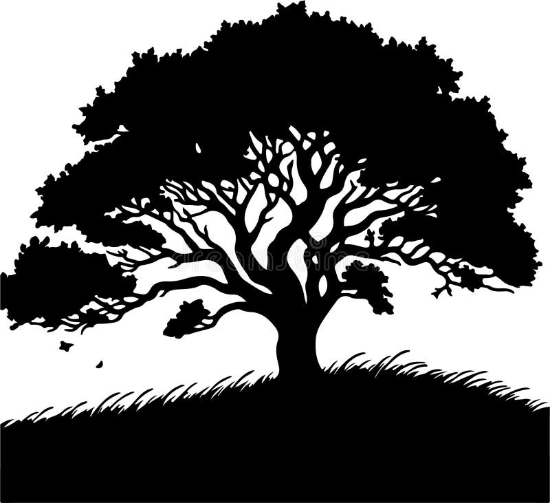Detailed Tree Silhouettes of Various Trees on White Background Stock ...