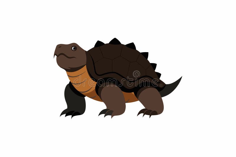 Alligator Snapping Turtle Vector Artwork Stock Illustration ...